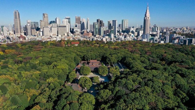 Tokyo Private Sightseeing Tour W/English Speaking Driver - Personalized Attention and Flexibility
