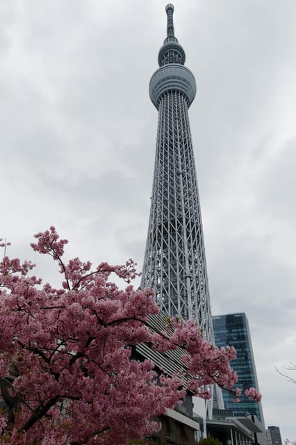 Tokyo Private Tour by Car/Van With English Speaking Driver - Customization and Flexibility