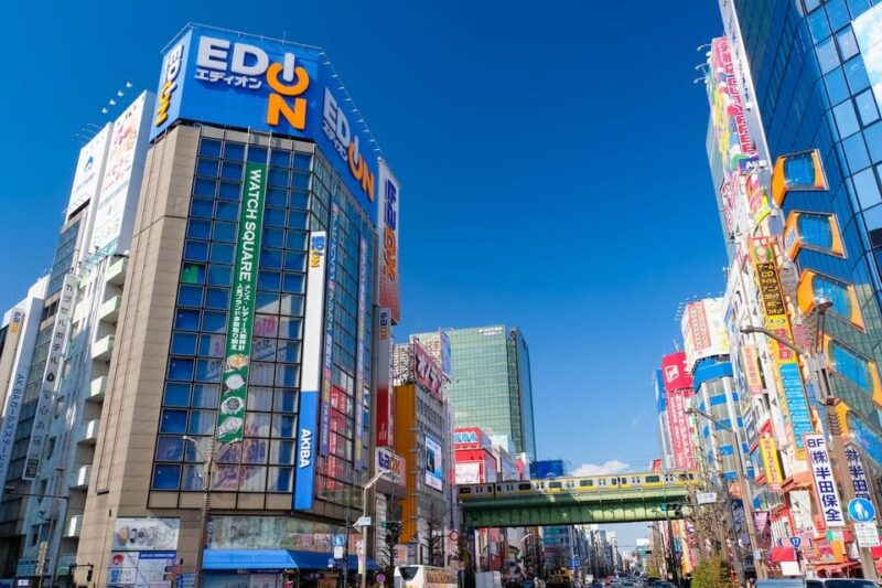 Tokyos Must-Sees: 5-hour Tsukiji, Akihabara & Asakusa - Important Information
