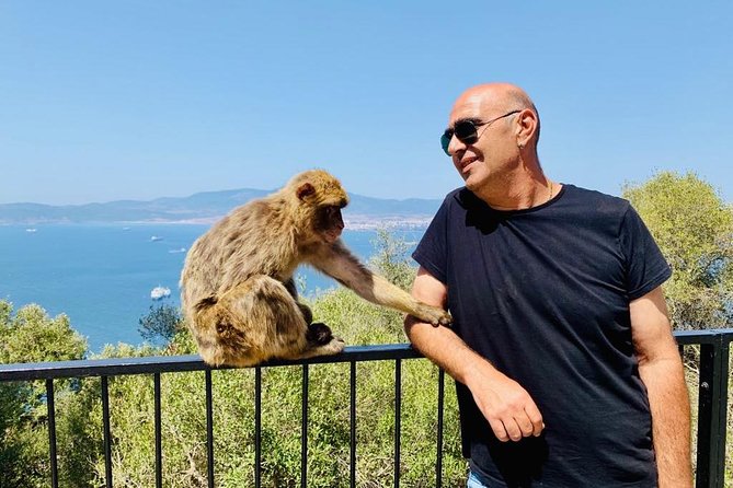 Tours of Gibraltar - STANDARD TOUR - Exploring Gibraltars History and Culture