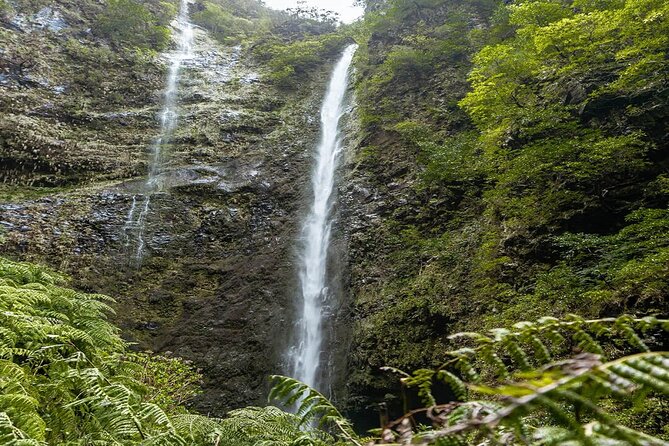Transfer to Caldeirão Verde Levada Self-Guided Hike Queimadas - Weather and Trail Alternatives