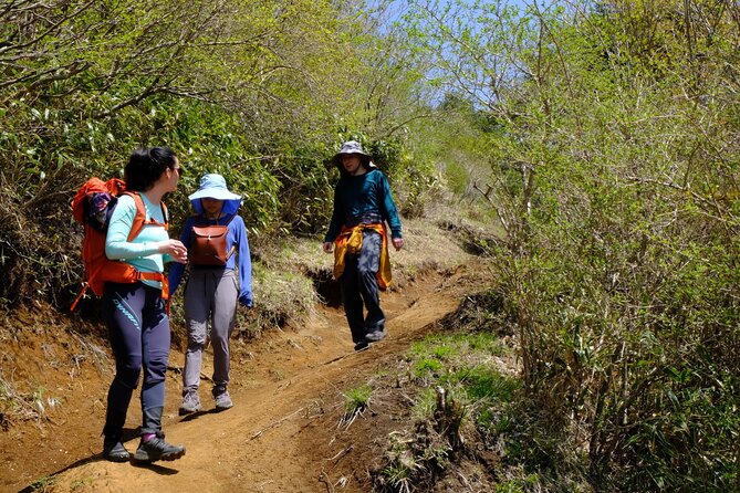 Traverse Outer Rim of Hakone Caldera and Enjoy Onsen Hiking Tour - Important Considerations for the Tour