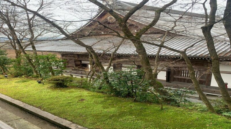 Treasures of Kyoto: Gion & Historical Walking Tour - Visiting Chion-in and Maruyama Park