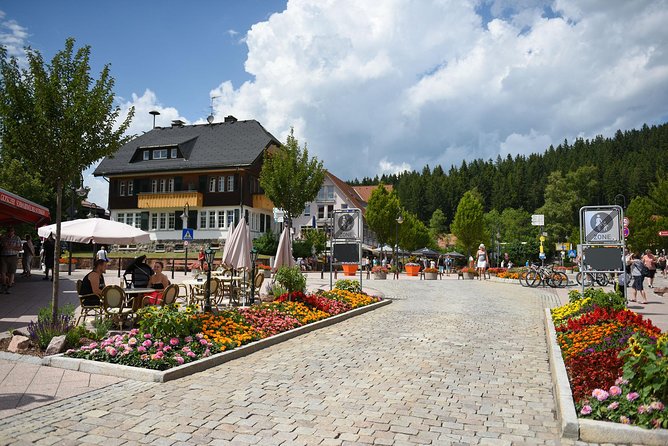 Trip From Zurich to Germanys Black Forest & Swiss Rhine Falls - Frequently Asked Questions
