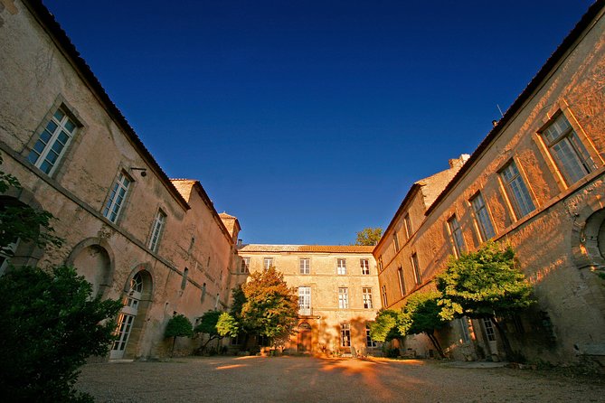Unusual Visit & Tasting of Our Organic Wines - Discovering the Charm of Luc-sur-Orbieu