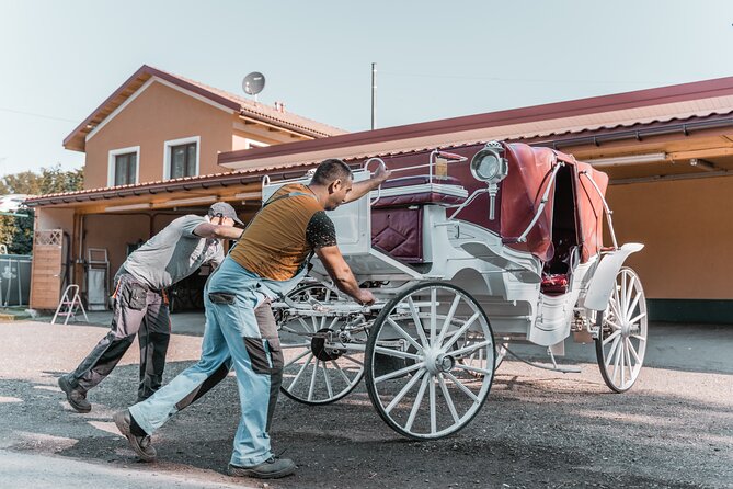 Vienna Horse-drawn Carriage Guided Tour - Guest Insights: Reviews and Ratings