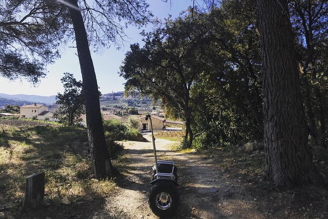 Vineyard Visit in Gyropod, Visit of Cave & Tasting Wines of Bandol - Since You Asked