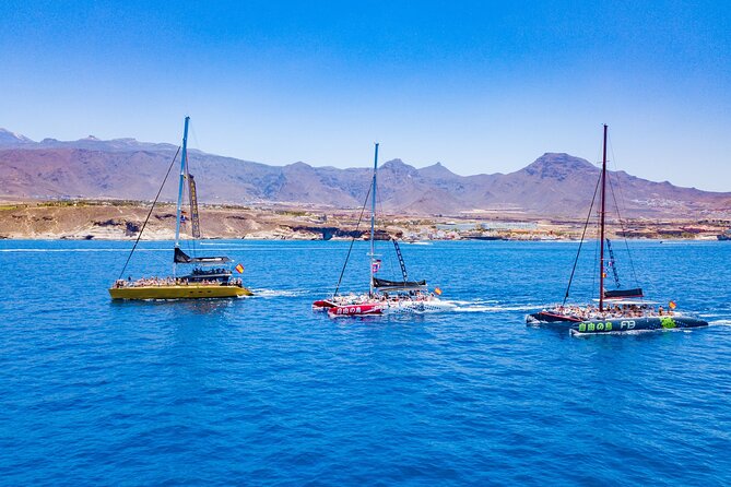 Whale Watching Catamaran in Costa Adeje (Including Drinks & Sandwich) - The Sum Up