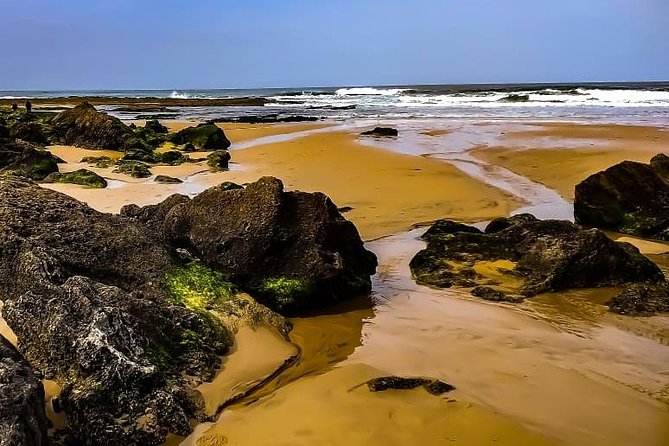 Wild and Wonderful West Coast Full Day Tour - Recommendations and Additional Information