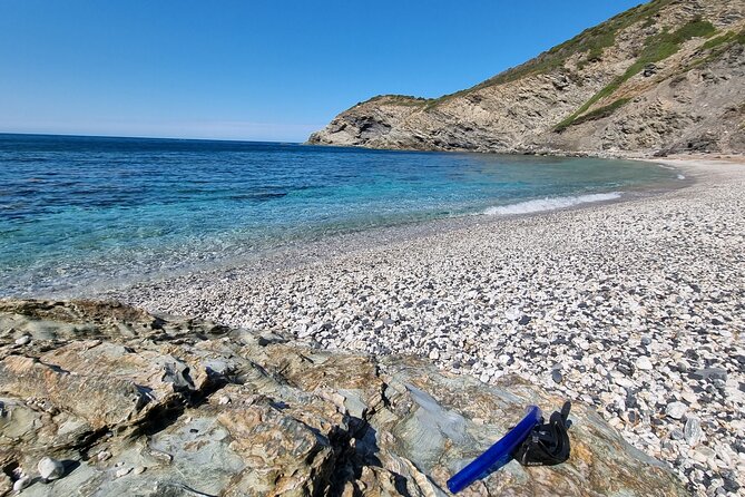 Wild Beaches & Snorkeling Tour - Traveler Experiences and Recommendations