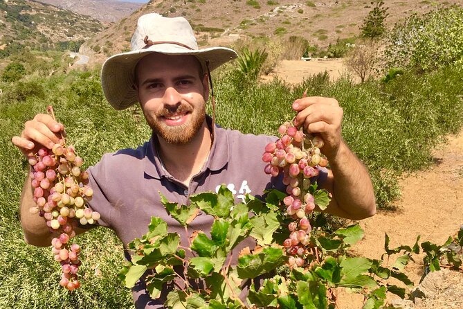 Wine Tasting and Tour in Saint Anna Winery in Naxos - Why You Should Visit Naxos Saint Anna Winery