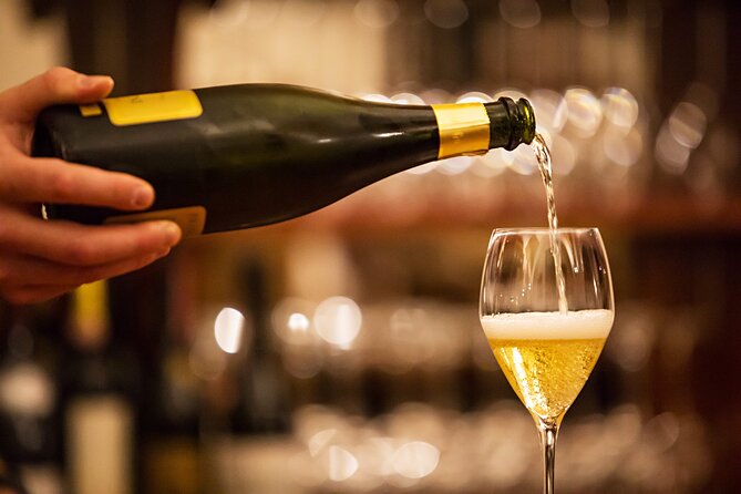 Wine Tasting Experience in Milan City Centre - Learning About Italian Winemaking