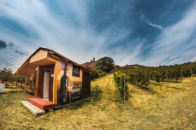 Wine Tasting Tour Review: A Scenic Delight - Taking in the Local Winemaking Tradition