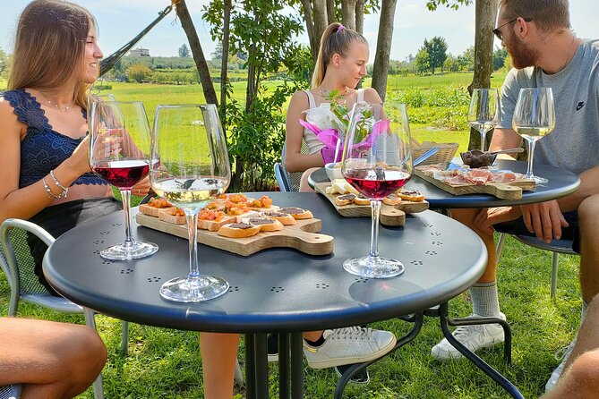 Wine Tasting With Local Food in Lazise Countryside - What Guests Are Saying