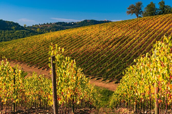 Wineries Tour and Wine Tastings in Chianti Hills From Florence - What to Expect on the Tour