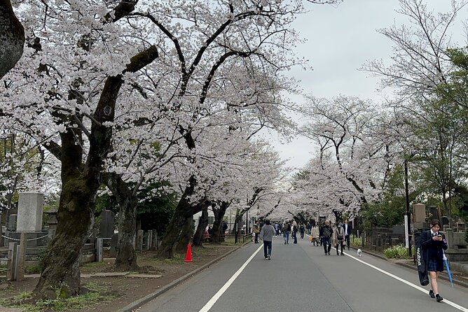 Yanaka and Nezu : Tokyo Old Traditional Town Cultural Experience - Making the Most of Your Visit