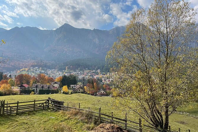 1 Day ATV Tour in Carpathian Mountains - Feedback From Travelers