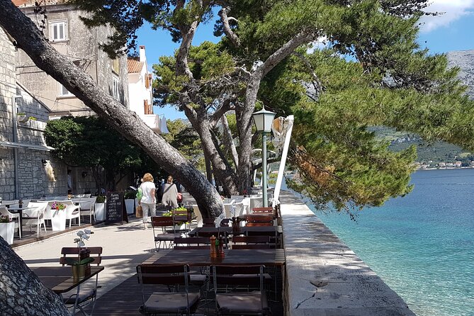 1 Hour Private Walking Tour in Korcula - Taking in Local Life and Culture