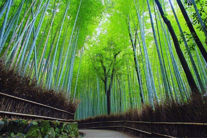 Arashiyama & Yasaka Shrine & Nara & Todaiji Day Trip From Osaka - Accessibility and Traveler Requirements