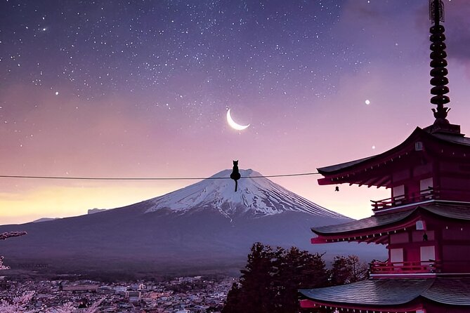 Beyond the Ordinary: Private Mount Fuji & Cherry Blossom Tour - Witness the Splendor of Lake Kawaguchiko Cherry Blossoms