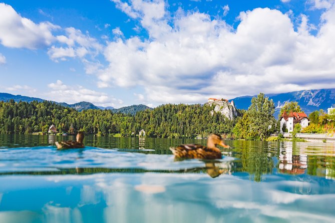 Bled & Bohinj Lakes With Skofja Loka | Private Trip From Ljubljana - Visiting Škofja Loka