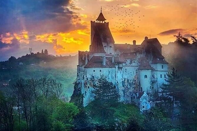 Brown Bear Sanctuary, Rasnov Fortress and Bran Castle Tour From Brasov - Visiting the Liberty Bear Sanctuary