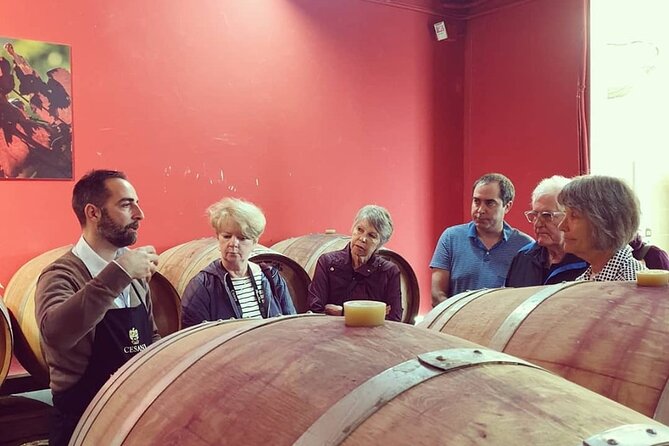 Cesani Wine Experience - Exploring the Beautiful Scenery