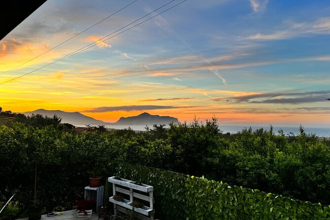 Cooking Class in a Villa With Palermo View - Encouragement for Guests to Return for More Cooking Explorations