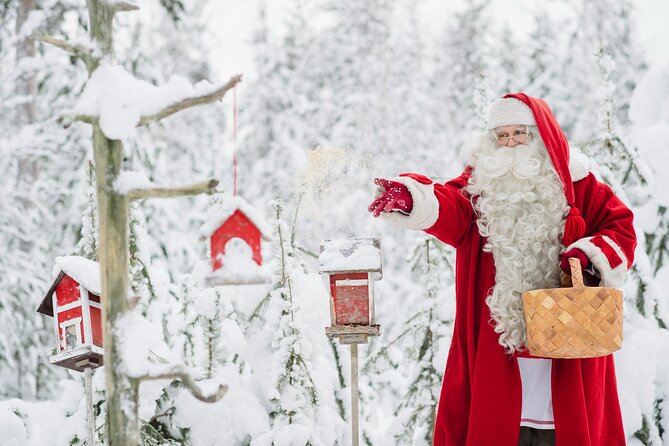 Daytour to Santa Claus Village, Reindeer and Husky Safaris, Photo, and Lunch - Traveler Reviews and Feedback