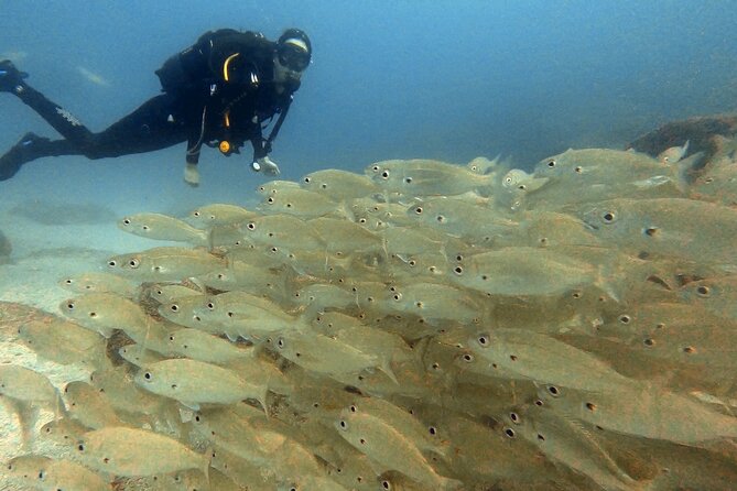 Discover Beginner Diving in Tenerife - Since You Asked