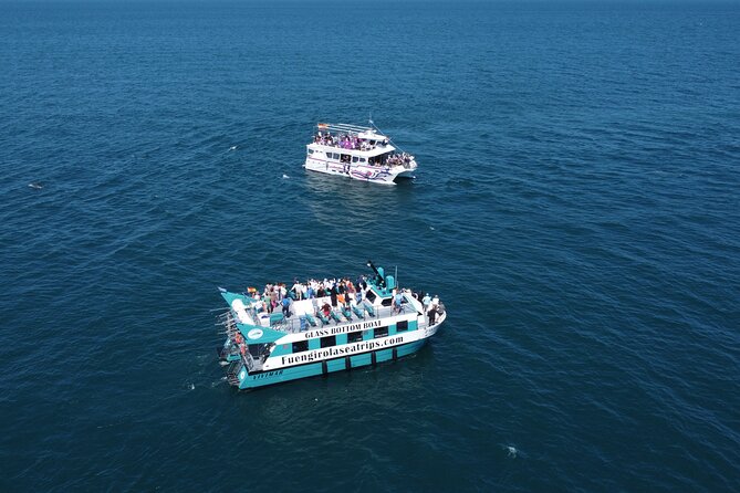 Dolphin Watching on a Catamaran in Fuengirola - Encouragement for Repeat Visits