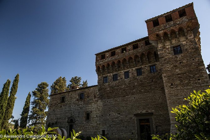 EXCLUSIVE - Wine Tasting Near Florence With Castle and Ancient Cellars Tour - What Travelers Are Saying About Their Experience