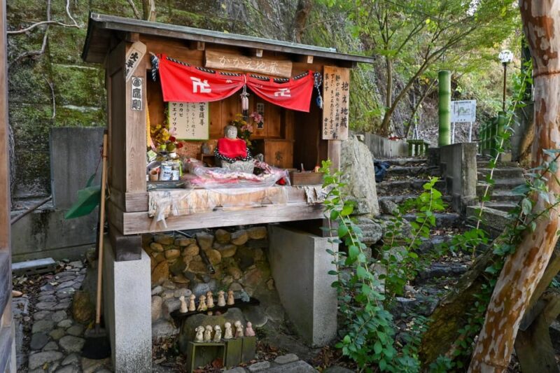 From Hiroshima: Rabbit Island and Takehara Town Tour - Customer Feedback and Recommendations