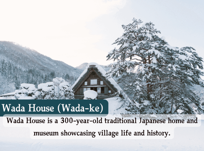 From Osaka/Kyoto: Shirakawa-go, TakaYama & Kanazawa Day Trip - Taking in Kanazawas Geisha Heritage