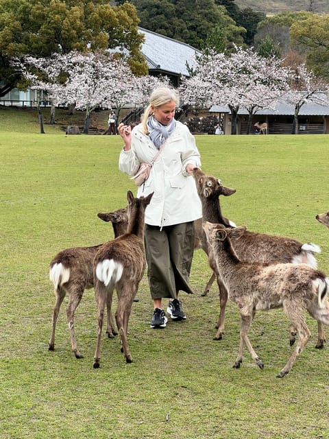 From Osaka/Kyoto:Private Kyoto-Nara Day Tour - The Sum Up