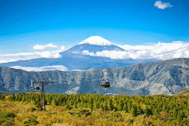 From Tokyo: Mount Fuji or Hakone Customized Day Trip - Frequently Asked Questions