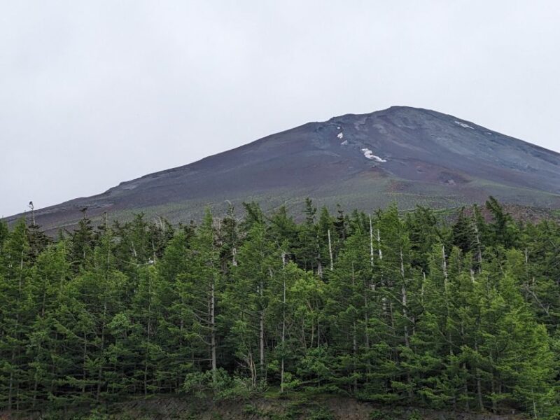 From Tokyo: Mt. Fuji & Hakone Tour W/ Return by Bullet Train - Booking and Flexibility