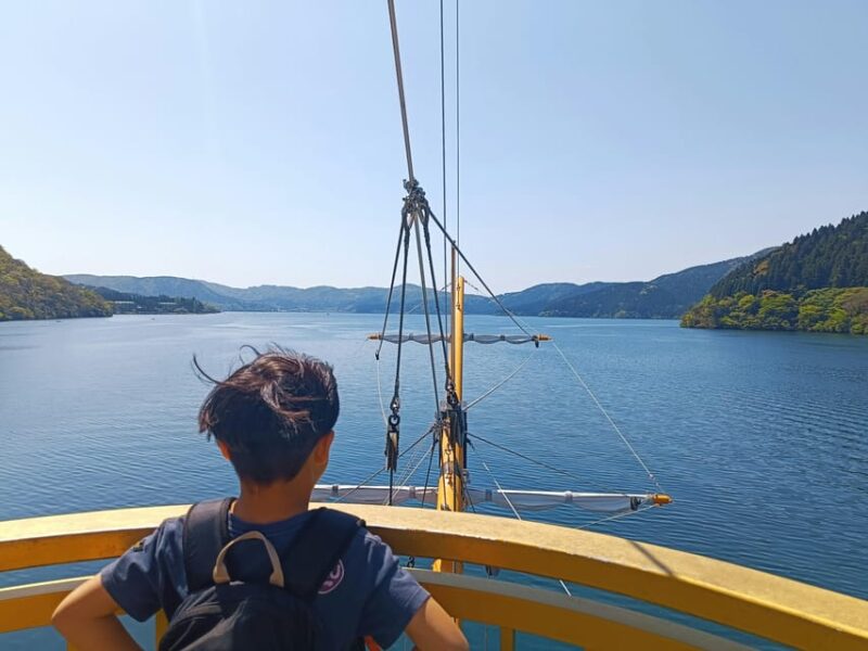 From Tokyo: Mt. Fuji or Hakone Private Sightseeing Day Trip - Customer Feedback and Important Information