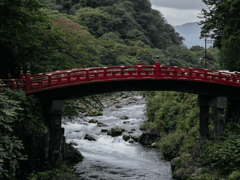 From Tokyo: Private Nikko World Heritage Sights One Day Trip - Marveling at Kegon Falls and Shinkyo Bridge