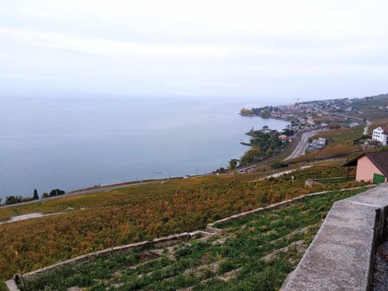 Geneva: Guided Wine Tour - Customer Feedback