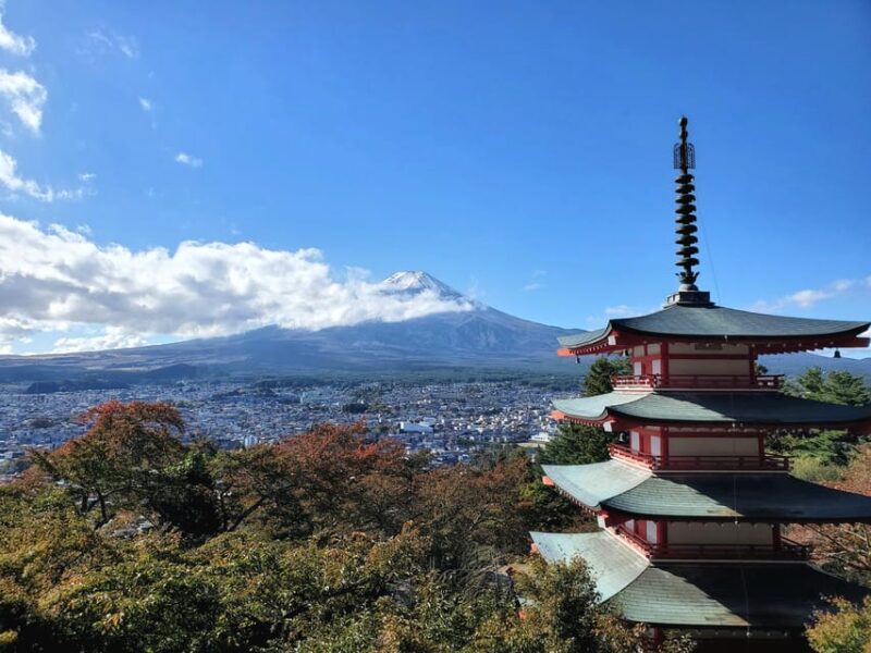 Guided Mt. Fuji & Hakone Tour GREEN NUMBER PLATES - Frequently Asked Questions