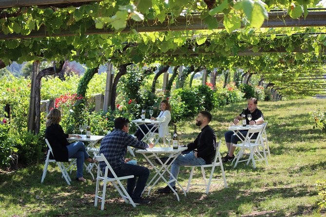Guided Tour of Bodegas Granbazán - Sustainability and Environmental Practices