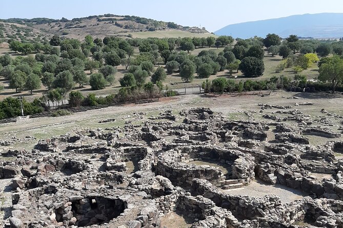 Half-Day Private Trip From Cagliari to Barumini in Su Nuraxi - Taking in Sardinian Culture and History