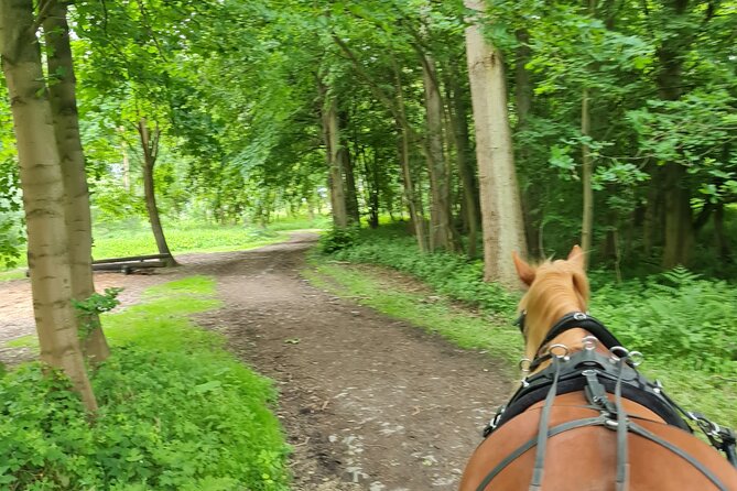 Horse Drawn Carriage Ride York - Relaxing at the Village Tearoom