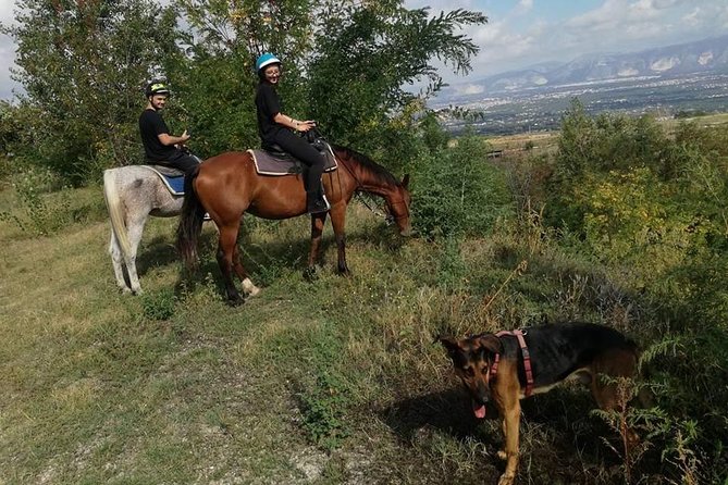 Horse Riding on Mount Vesuvius - Suitability and Recommendations