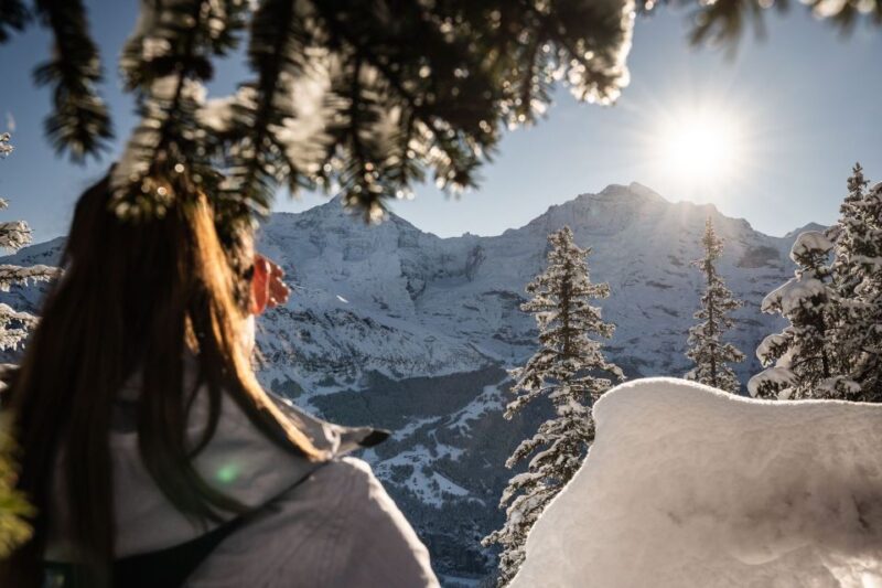 Interlaken: Guided Sledging Adventure - Since You Asked