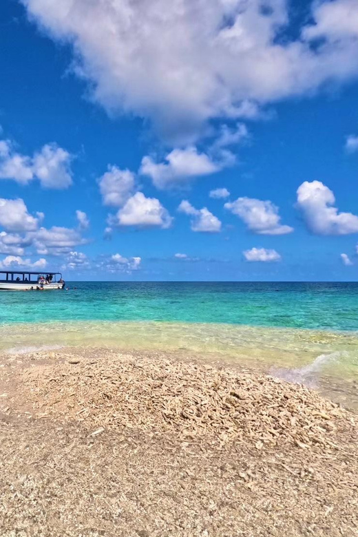Iriomote Mangrove River Canoe and Snorkeling at Coral Island - Customer Feedback and Review