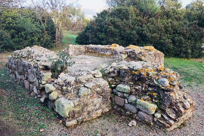Journey by Tuk-Tuk - Discover the Ancient Treasures of Sardinia - Customer Insights and Feedback