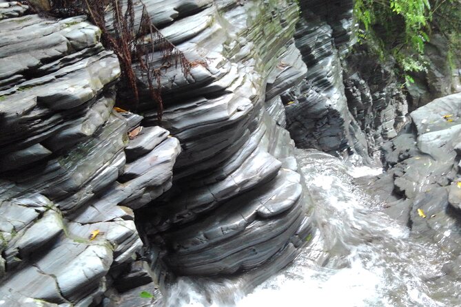 Jungle River Trek: Private Tour in Yanbaru, North Okinawa - Feedback From Travelers