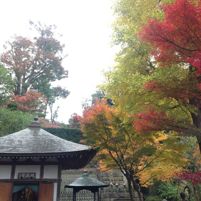 Kamakura: Great Buddha, Hase Temple, & Komachi Street Tour - Komachi Dori Street and Shopping